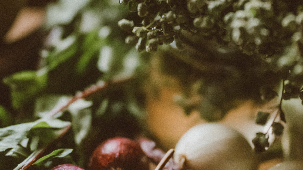 Exploring Microbial Terroir: The Unique Signature of Your Ferments ...